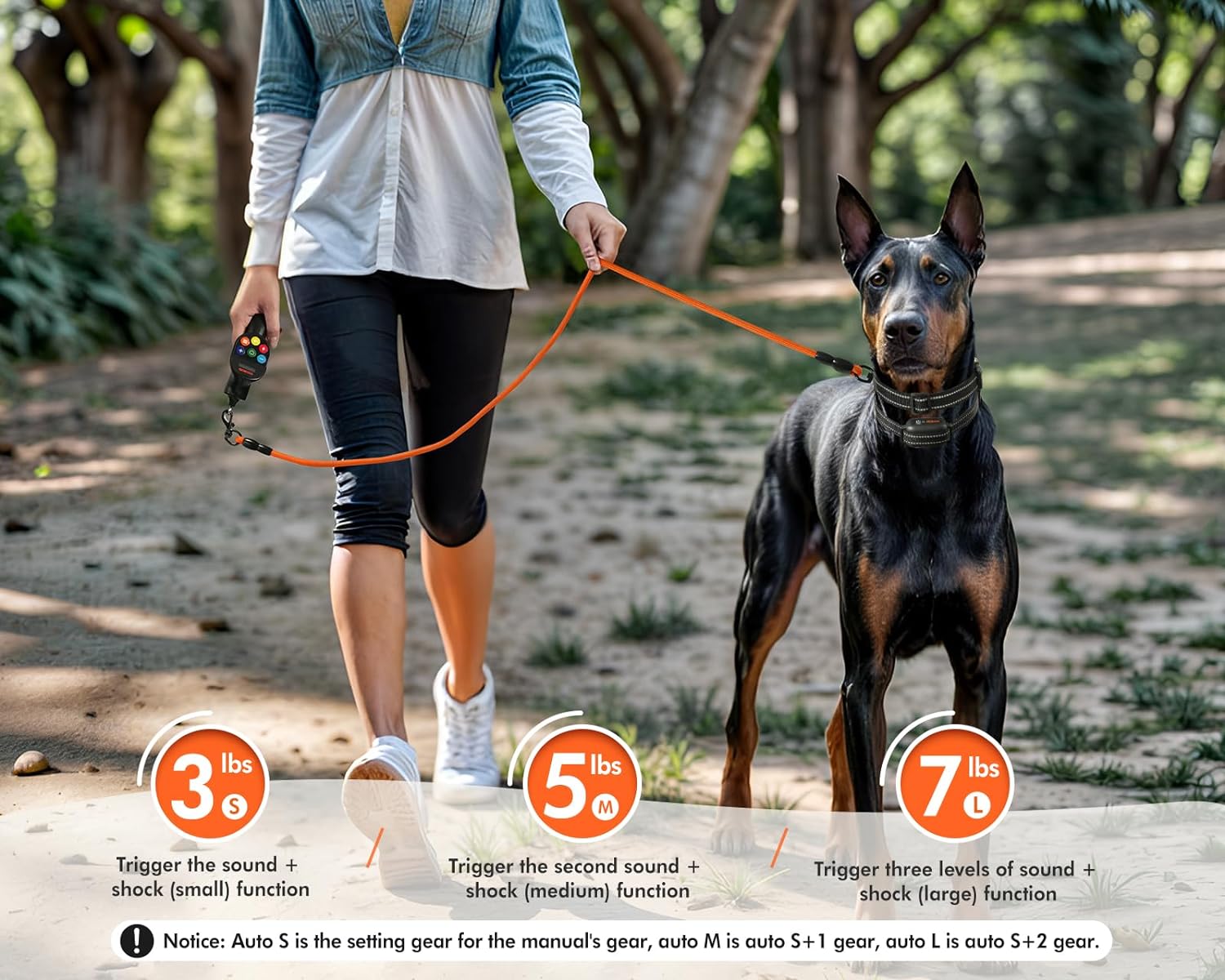 Dokoo Dog E-Collar No-Pull Shock Training Collar with Leash Set